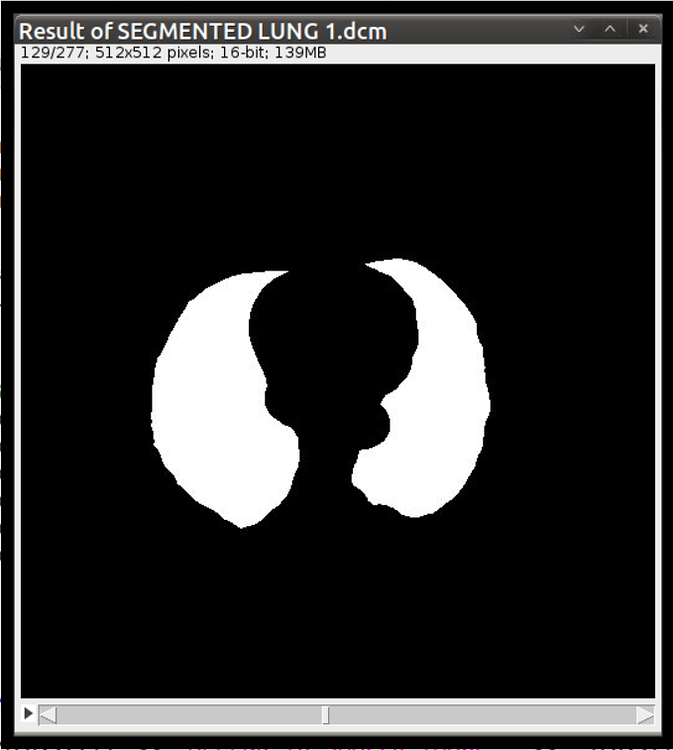 Binary Morphological Filter with Padding - Algorithms - ITK