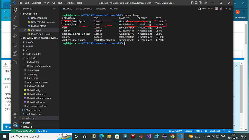 Itk 52 Wasm Itk Wasm Itk Wasmemscripten Build Example Commonadd Noise To Binary Image